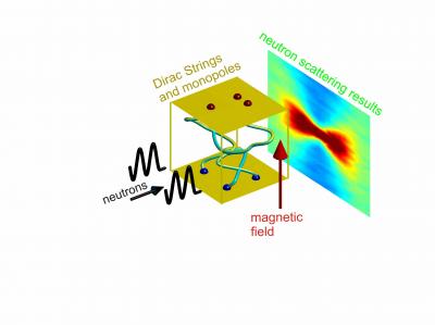 Schematic Diagram [IMAGE] | EurekAlert! Science News Releases