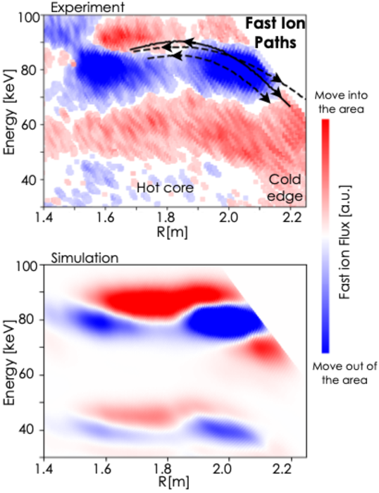 Visualizing the microscopic world of fast ion | EurekAlert!
