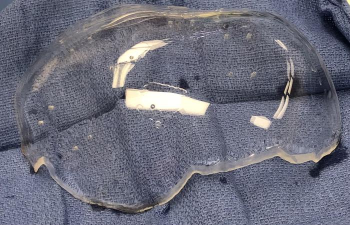 USC researchers pioneer new brain imaging tec | EurekAlert!