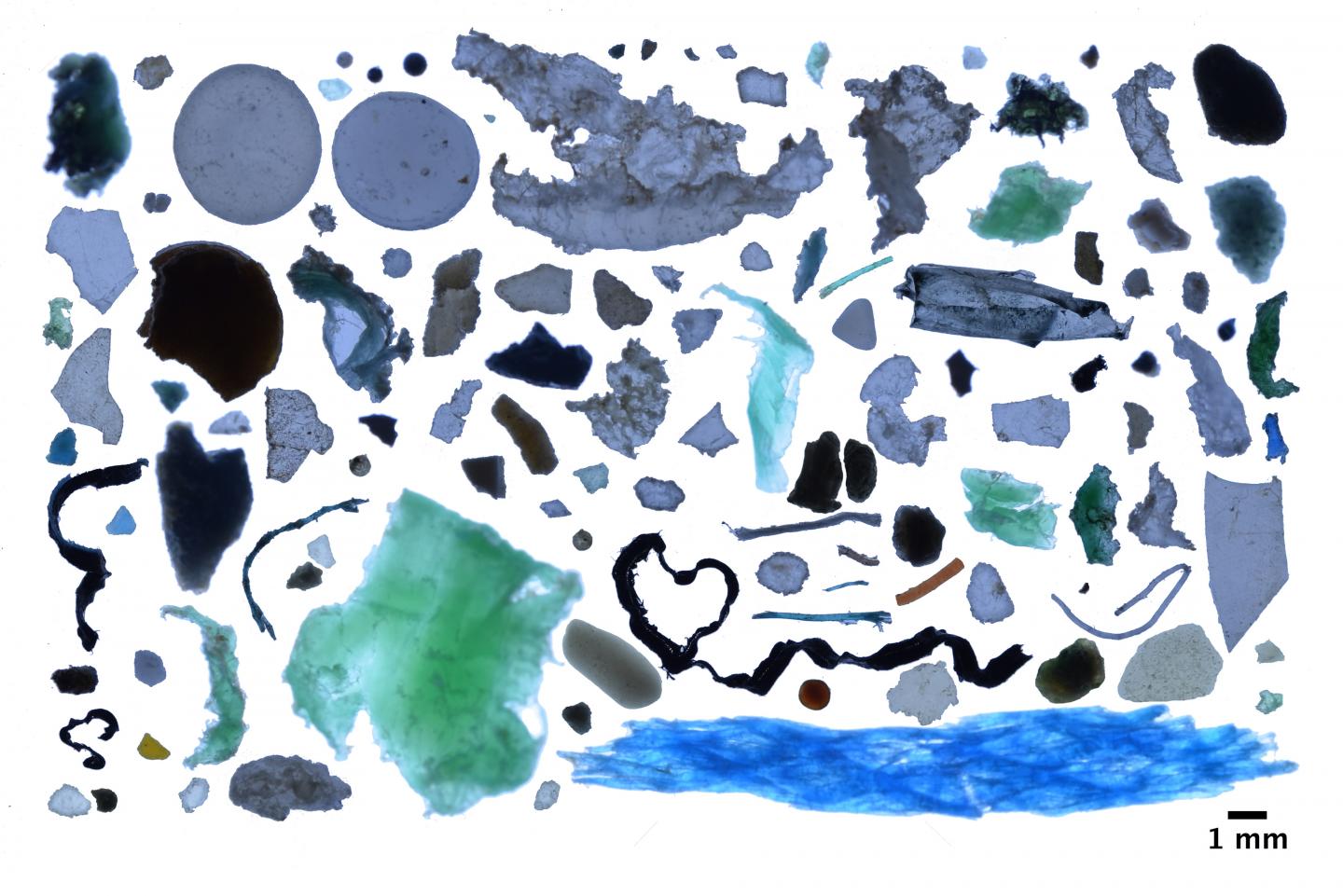 Ocean Current Dumps Plastic in Remote Arctic | EurekAlert!