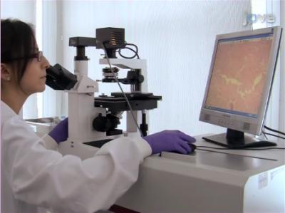 Reprogramming Somatic Cells in [IMAGE] | EurekAlert! Science News Releases