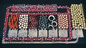 Adrian Liston and James Dooley [IMAGE] | EurekAlert! Science News Releases