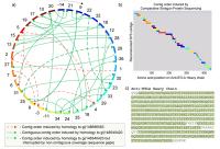 UC San Diego and Genentech scientists develop | EurekAlert!