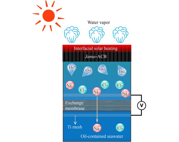 graphical abstract [IMAGE] | EurekAlert! Science News Releases