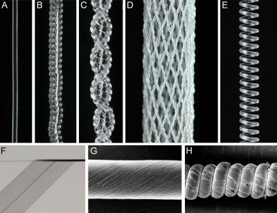 Spinning Yarn Into Muscles (2 of 16) | EurekAlert!