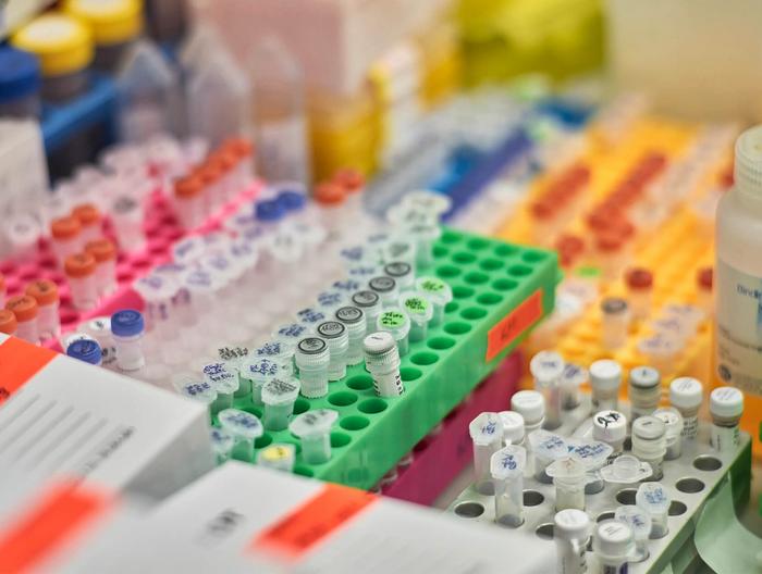 Gene editing tool TnpB [IMAGE] | EurekAlert! Science News Releases