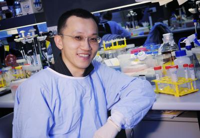 Dr. Patrick Ling, Queensland U [IMAGE] | EurekAlert! Science News Releases
