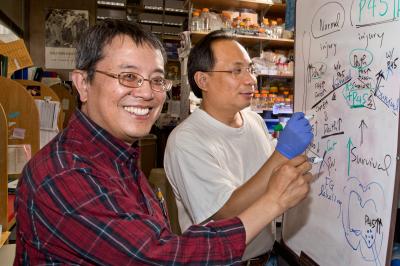 Kuo-Fen Lee and Tsung Chang Su [IMAGE] | EurekAlert! Science News Releases