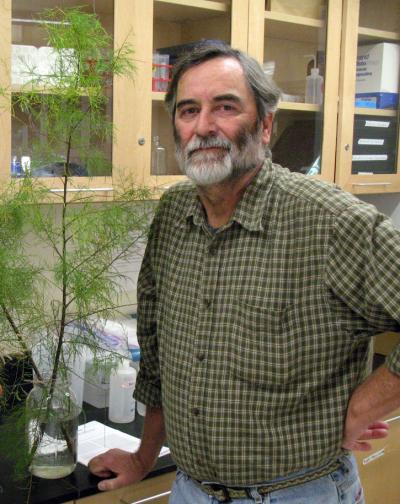 Tom Dudley, University of Cali [IMAGE] | EurekAlert! Science News Releases