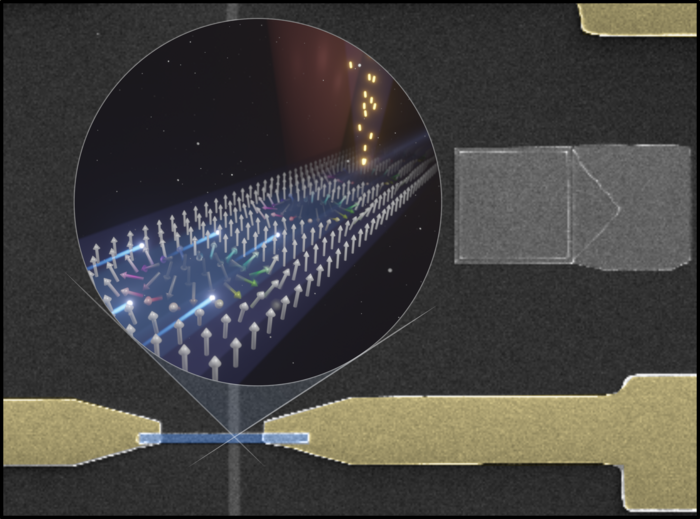 Teaser Picture [IMAGE] | EurekAlert! Science News Releases