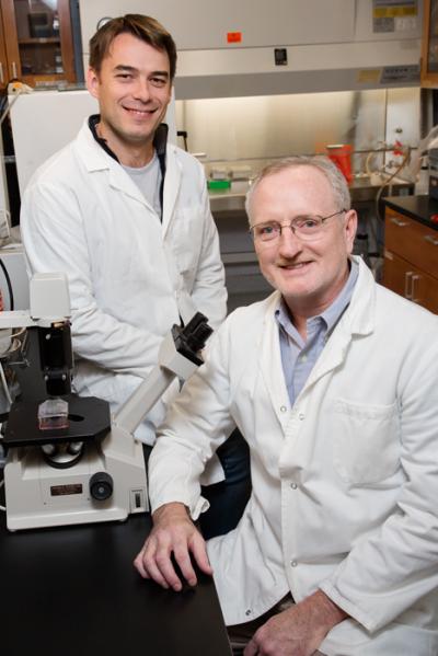 Daniel Rock and Diego Diel, Un [IMAGE] | EurekAlert! Science News Releases