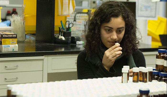 Sniff Test [IMAGE] | EurekAlert! Science News Releases