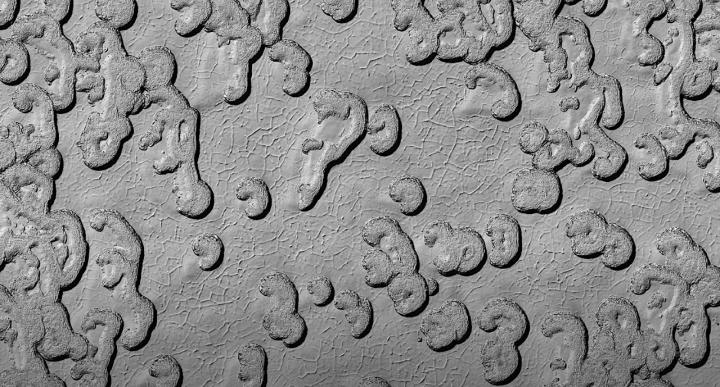 Researchers receive $320,000 From NASA to stu | EurekAlert!