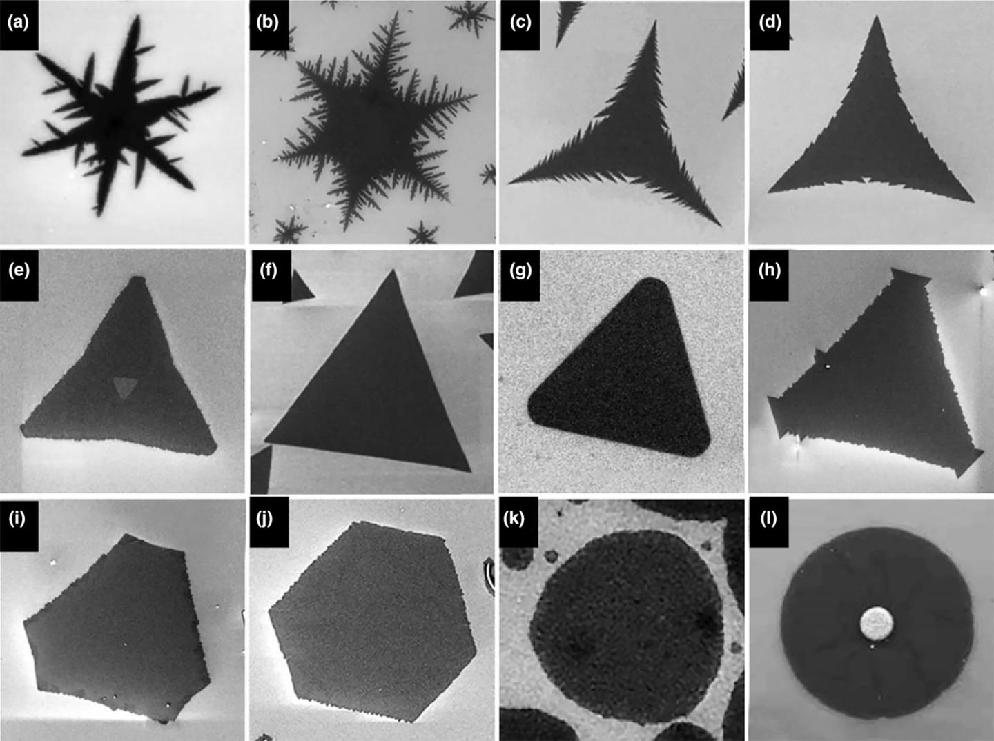 TMD crystal shapes [IMAGE] | EurekAlert! Science News Releases