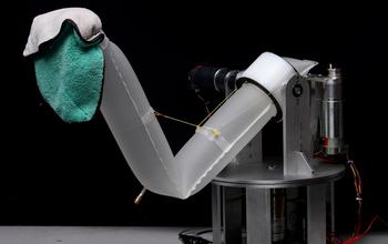 Soft Inflatable Robot Arm from [IMAGE] | EurekAlert! Science News Releases