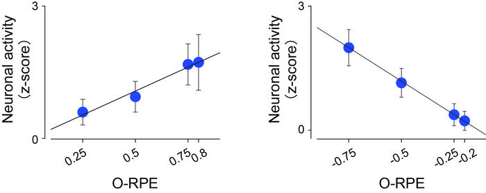 DMPFC neurons exhibit activity [IMAGE] | EurekAlert! Science News Releases