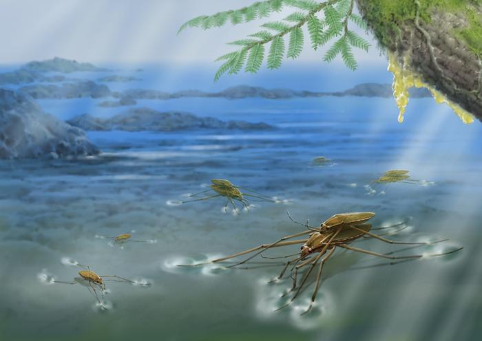 Amber reveals mating behavior of cretaceous w | EurekAlert!