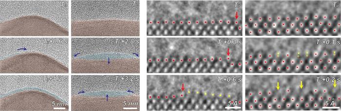 Amorphous interphase [IMAGE] | EurekAlert! Science News Releases