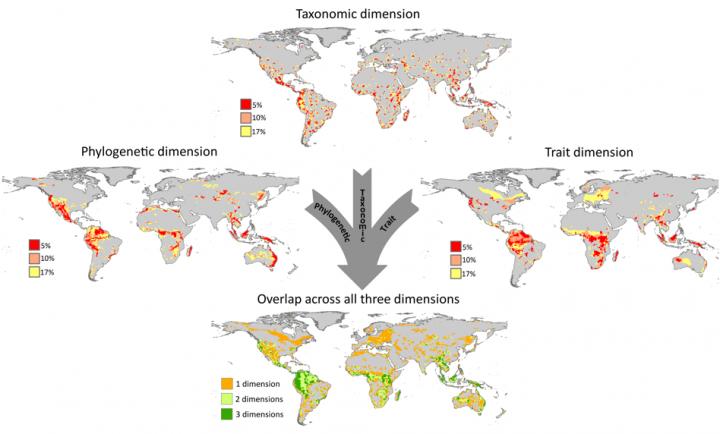 Biodiversity Map [IMAGE] | EurekAlert! Science News Releases