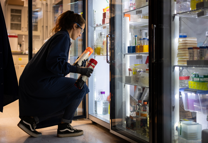 Cool science [IMAGE] | EurekAlert! Science News Releases