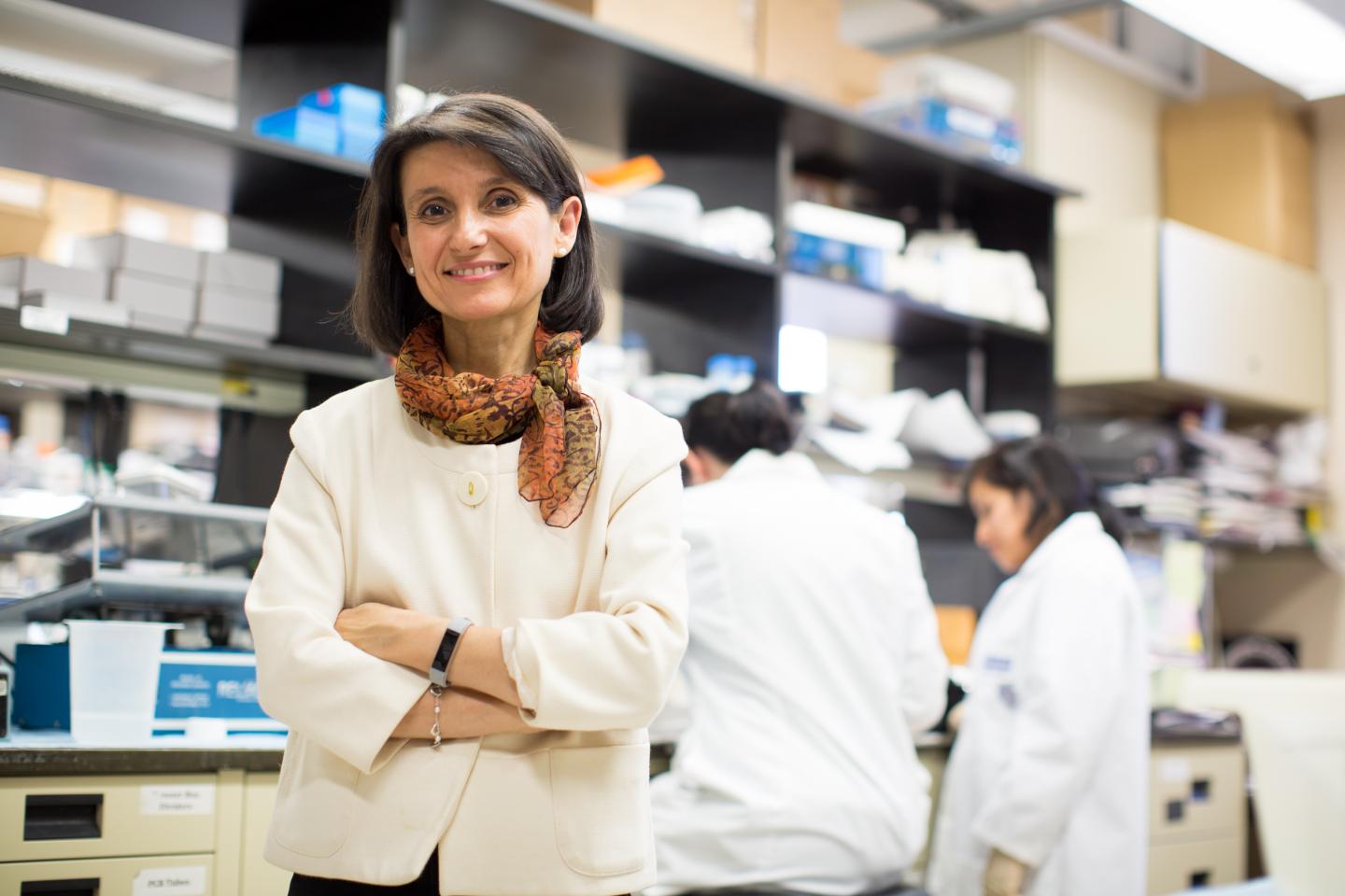 Ana Maria Cuervo, M.D., Ph.D. [IMAGE] | EurekAlert! Science News Releases