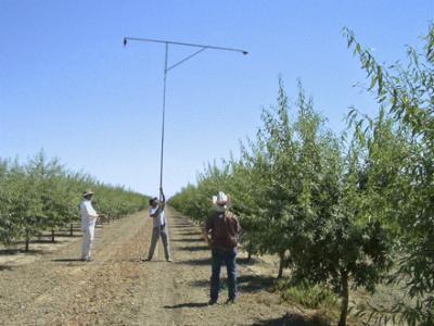 Measuring Canopy Cover [IMAGE] | EurekAlert! Science News Releases