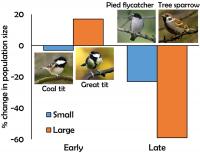 Late-nesting birds and bees face habitat thre | EurekAlert!