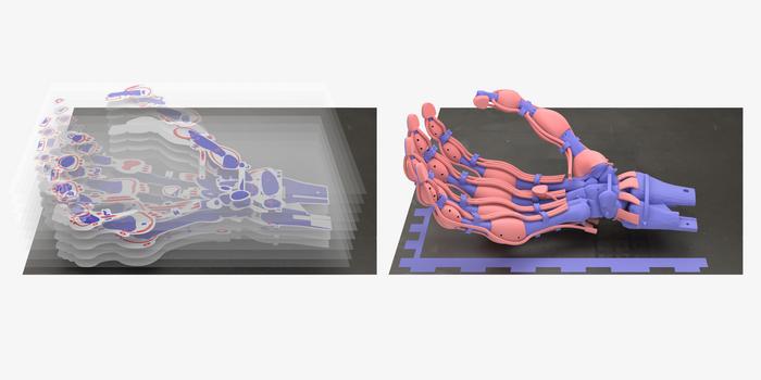 Soft robotic hand [IMAGE] | EurekAlert! Science News Releases