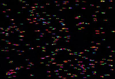 NanoString Barcodes [IMAGE] | EurekAlert! Science News Releases