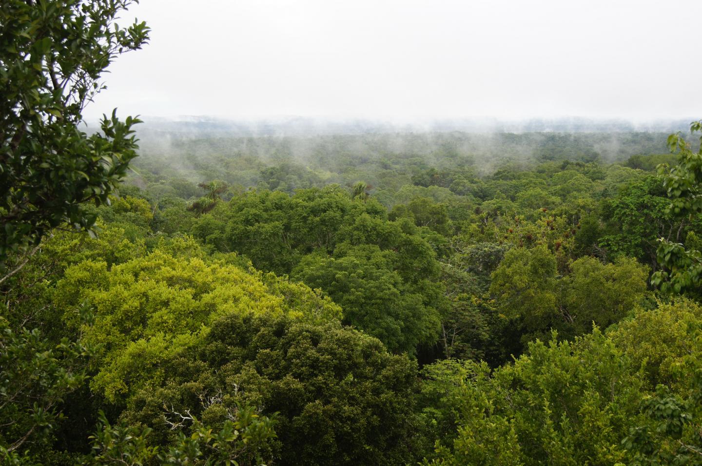 Global Map of Roadless Areas Reveals Roads Fr | EurekAlert!