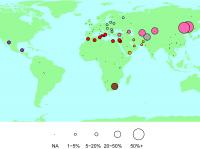 A 4,000-Year-Old Atlas of Human Interaction ( | EurekAlert!