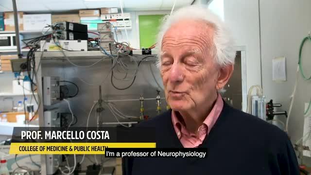 Cracking the colon code -- new light shed on | EurekAlert!