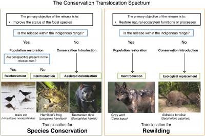 The Conservation Translocation [IMAGE] | EurekAlert! Science News Releases