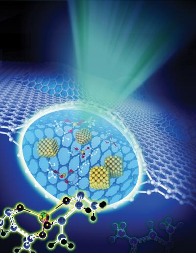 Graphene Capsule Brings Liquid [IMAGE] | EurekAlert! Science News Releases