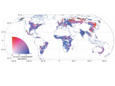 Drought Ecosystems [IMAGE] | EurekAlert! Science News Releases