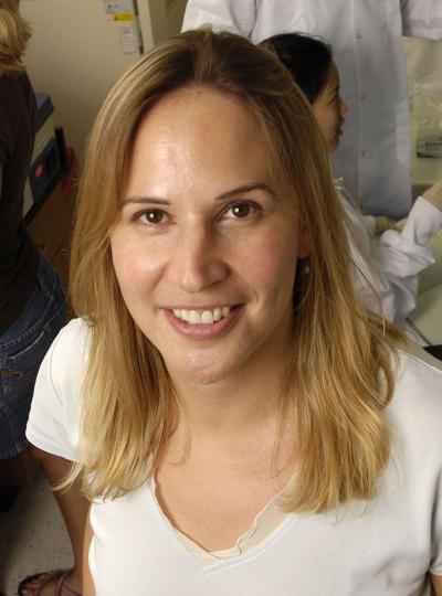 Sharon Gerecht, The Johns Hopk [IMAGE] | EurekAlert! Science News Releases