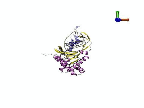 DNA-Protein Complex Simulation [IMAGE] | EurekAlert! Science News Releases