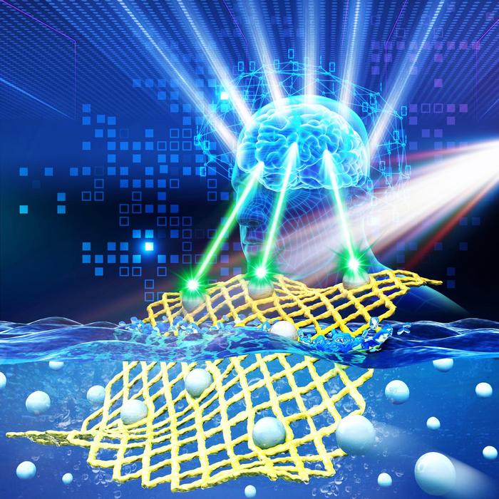 Image 2 [IMAGE] | EurekAlert! Science News Releases