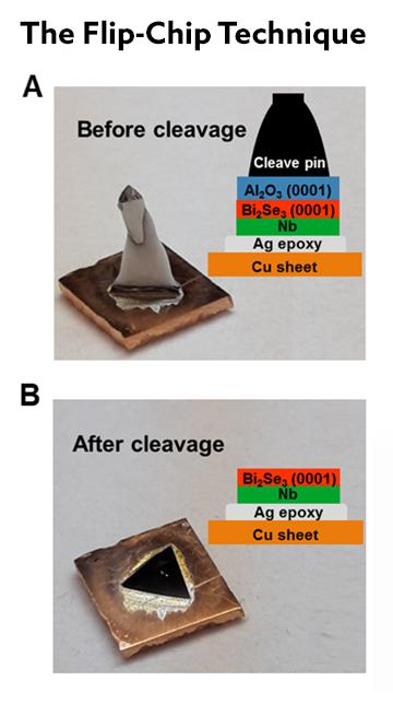 Flip-Chip [IMAGE] | EurekAlert! Science News Releases