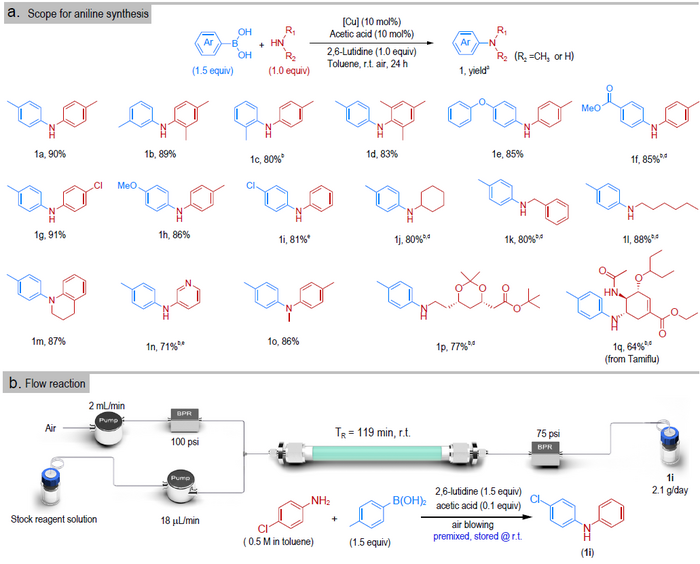 Substrate scope of 2D-CuSSs fo [IMAGE] | EurekAlert! Science News Releases