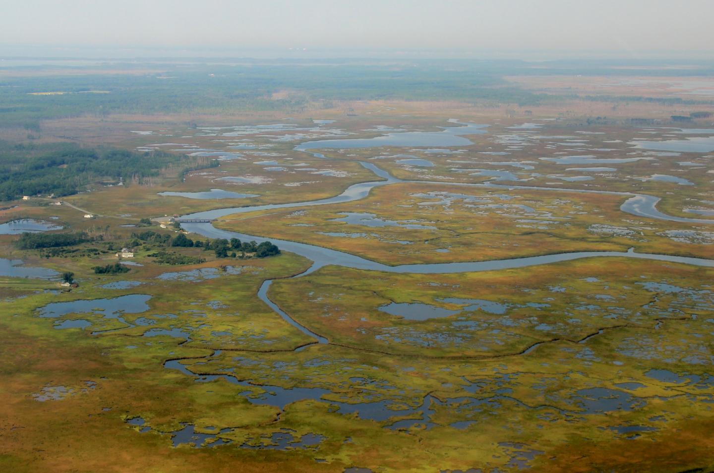 Wetland Migration Barrier [IMAGE] | EurekAlert! Science News Releases