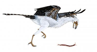 Jeholornis , Prehistoric [IMAGE] | EurekAlert! Science News Releases
