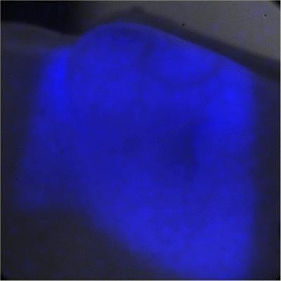 Cherenkov Output [IMAGE] | EurekAlert! Science News Releases