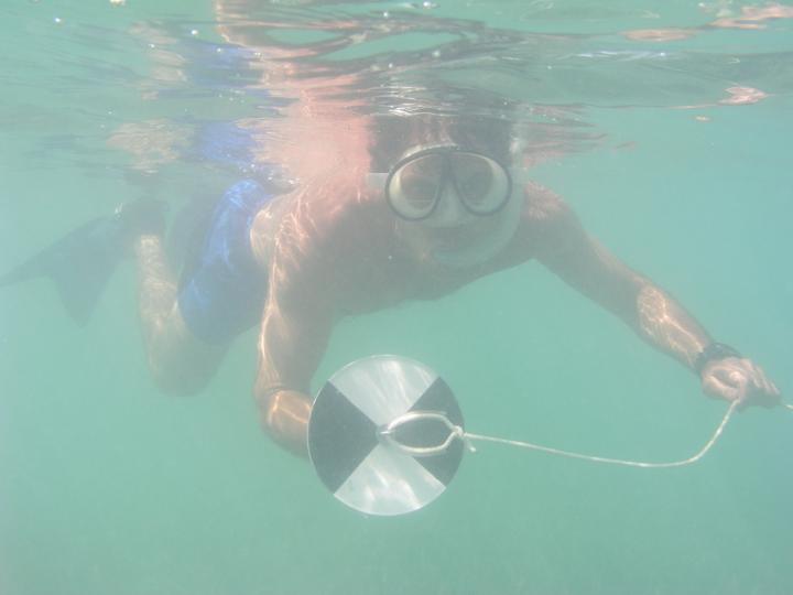 Secchi Disc to Measure Turbidi [IMAGE] | EurekAlert! Science News Releases