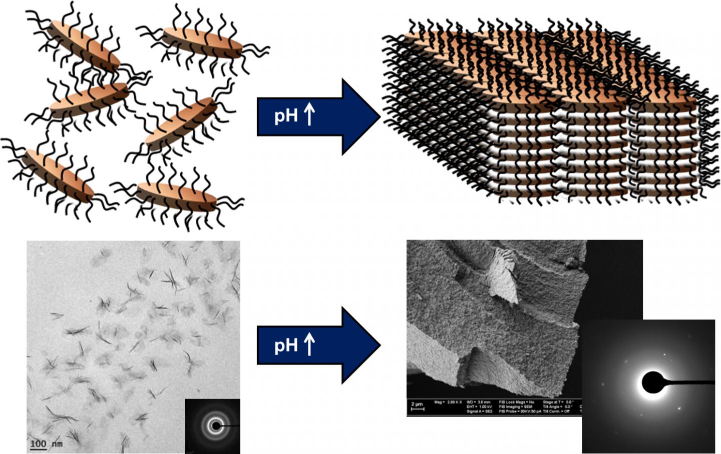 Orderly Stacking of Tiny Cryst [IMAGE] | EurekAlert! Science News Releases
