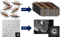 Orderly Stacking of Tiny Crystals to Make Mor | EurekAlert!