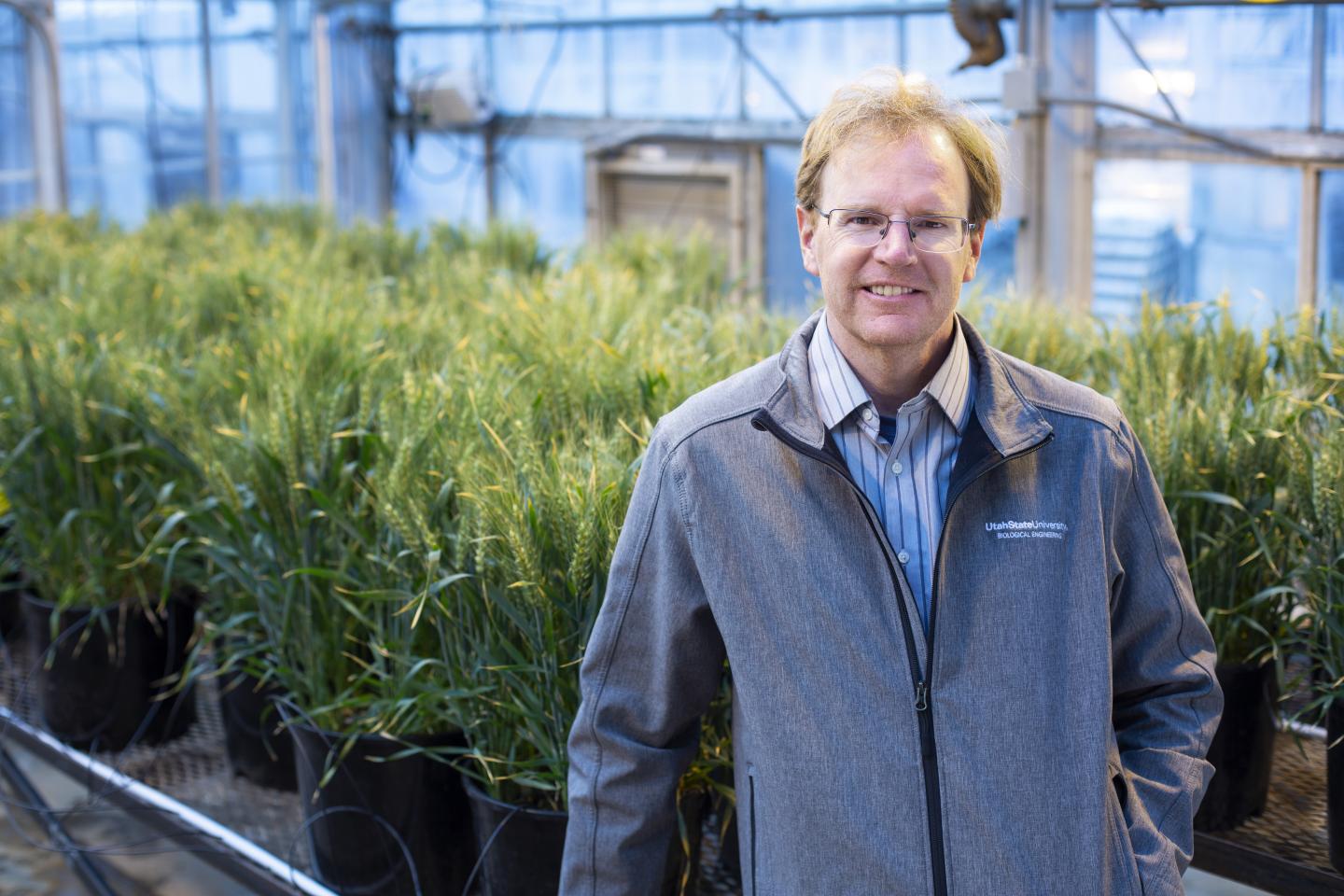 Dr. David Britt [IMAGE] | EurekAlert! Science News Releases