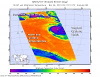 NASA's infrared vision reveals Tropical Cyclo | EurekAlert!