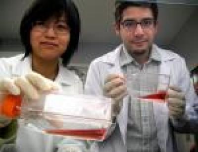 Na Xu and Thales Papagiannakop [IMAGE] | EurekAlert! Science News Releases