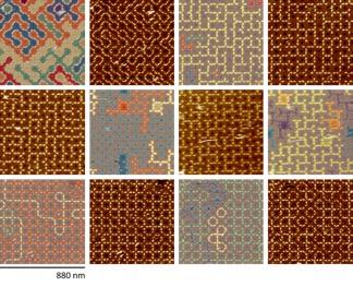 Loops and Mazes [IMAGE] | EurekAlert! Science News Releases